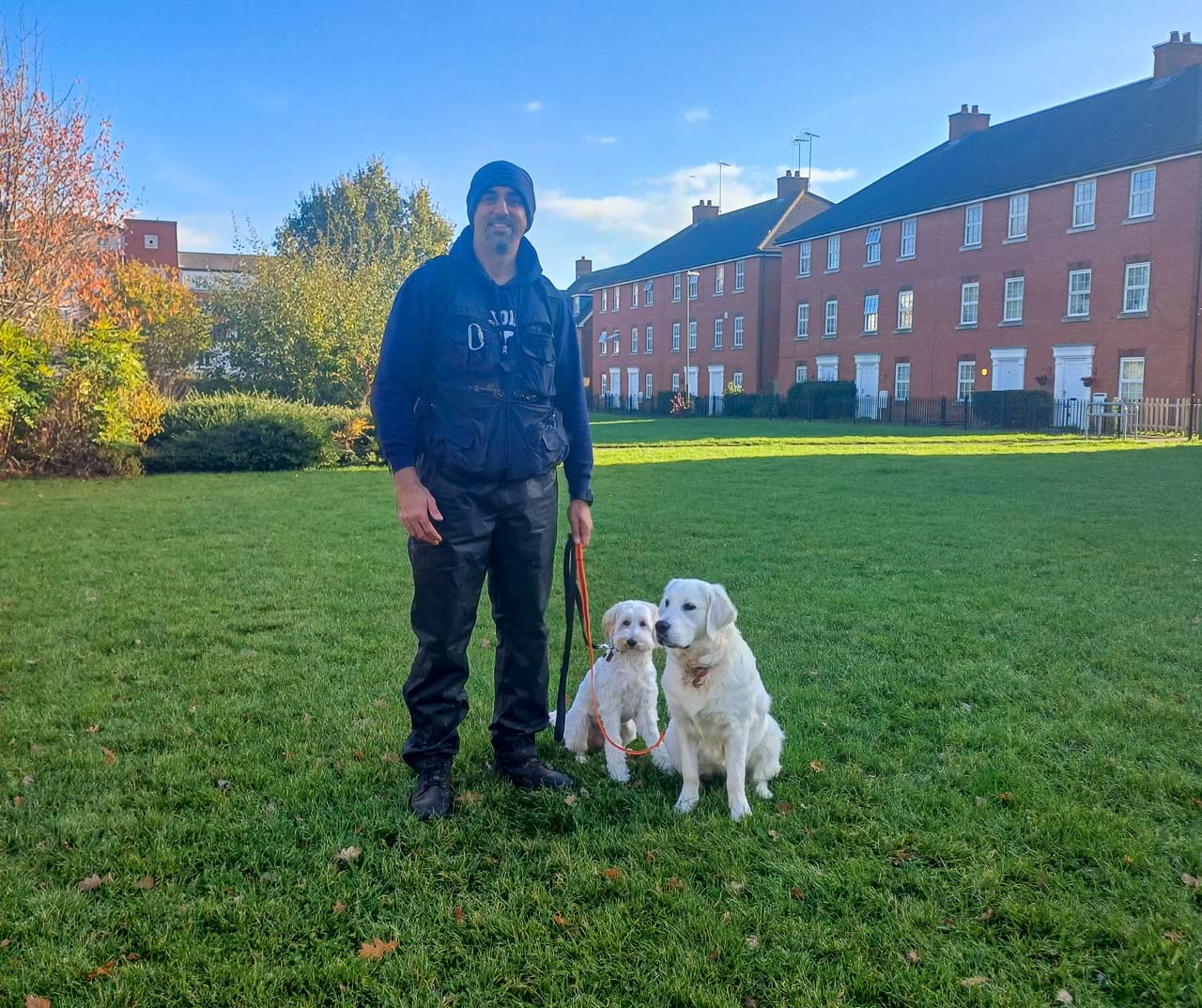 Walk & Train Packages - Shaba K9 | Dog Trainer and Behaviourist